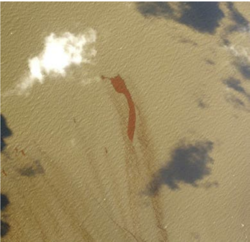 Detection of Oil Spills Using Multispectral Cameras: Advances in Remote ...