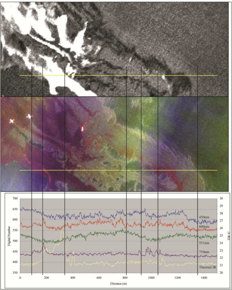 Detection of Oil Spills Using Multispectral Cameras: Advances in Remote ...